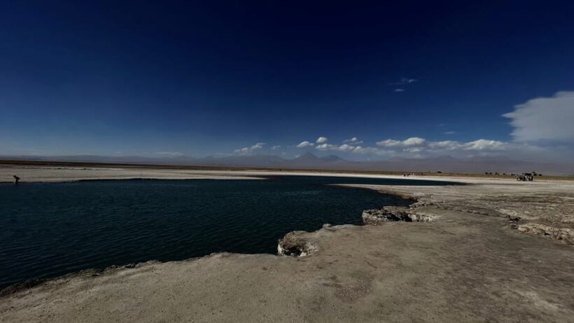 Cejar & Tebenquiche Lagoons Tour with Ojos del Salar Atacama - Authentic Experiences and Traveler Feedback