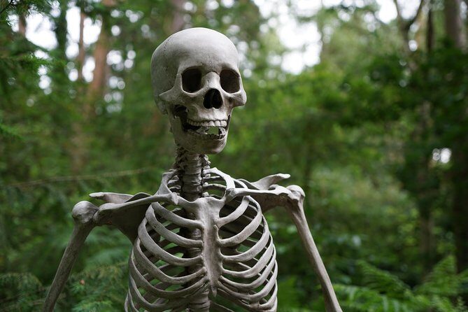 Celebrating Day of the Dead in Valladolid Private Tour - Key Points