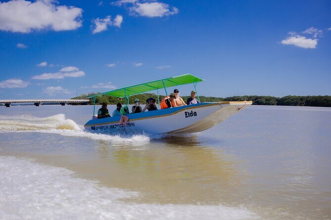 Celestun Flamingos Beach & Seafood Tour departure from Merida - Exploring the Celestun Flamingos Beach & Seafood Tour from Merida: A Practical, Enthusiastic Review