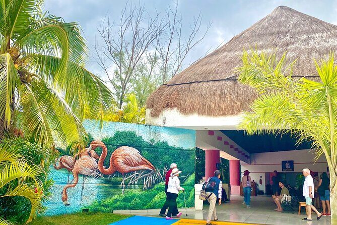 Celestun Flamingos Beach & Seafood Tour departure from Merida - What You Can Expect from the Tour