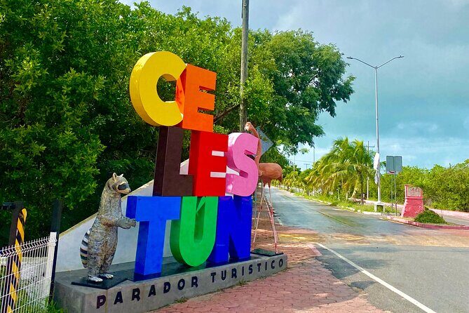 Celestun Flamingos Beach & Seafood Tour departure from Merida - Why It Works for Different Travelers