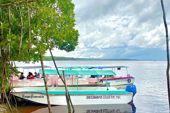 Celestun Flamingos Beach & Seafood Tour departure from Merida - Who Should Take This Tour?