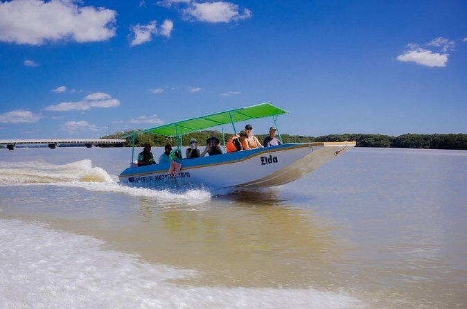 Celestun Flamingos Beach & Seafood Tour departure from Merida - Final Thoughts: Value, Authenticity, and Natural Beauty