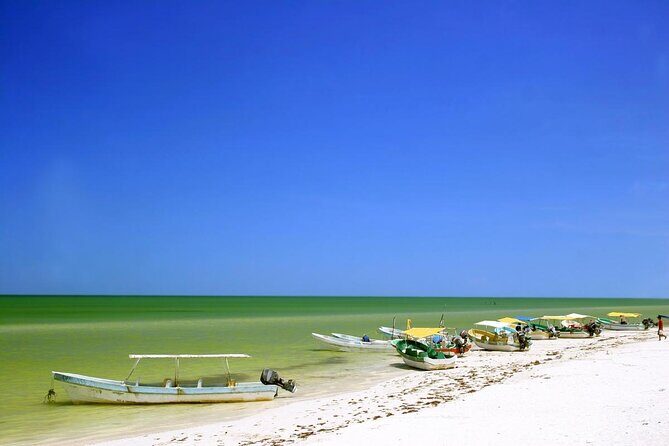 Celestun mangrove boat tour from Mérida - A Close Look at the Tour Experience