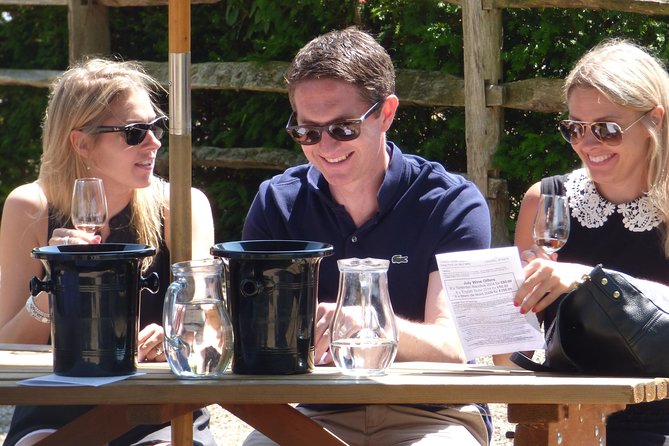 Cellar Door Wine Tour From London - Traveler Reviews and Feedback