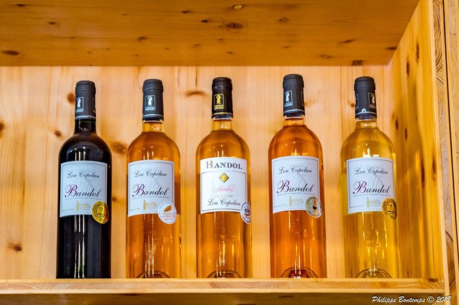 Cellar Visit & Bandol Wine Tasting - The Tasting Experience: Savoring the Flavors of Provence