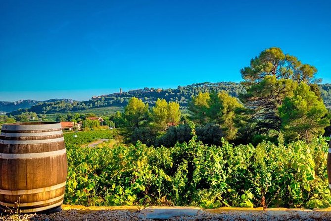 Cellar Visit & Bandol Wine Tasting - Exploring the Diverse Offerings of Domaine Lou Capelan