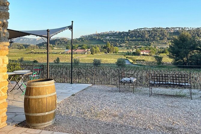 Cellar Visit & Bandol Wine Tasting - Testimonials: Visitors Perspectives on the Experience