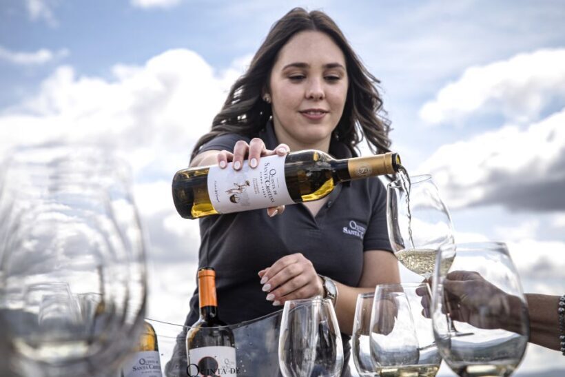Celorico De Basto: Quinta de Santa Cristina Winery Tour - Key Points