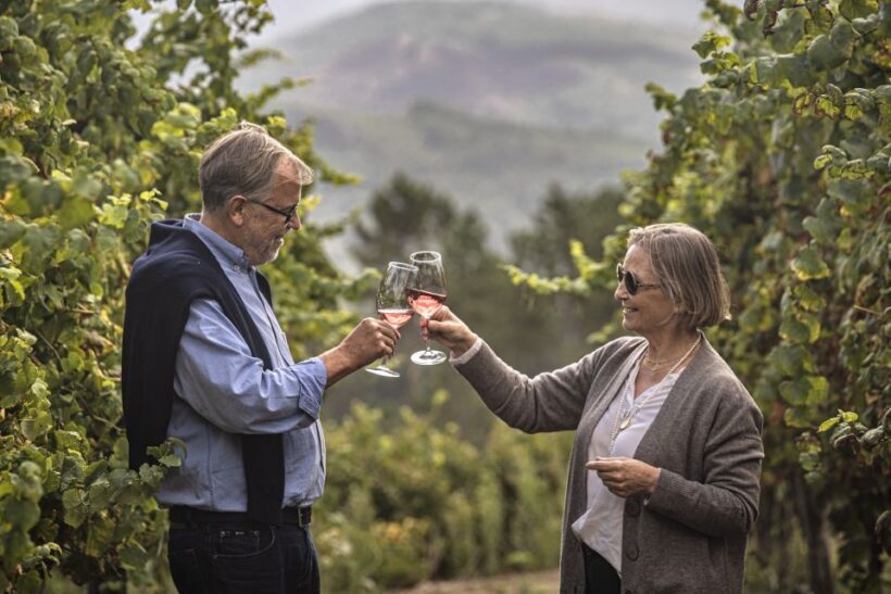 Celorico De Basto: Quinta de Santa Cristina Winery Tour - An Authentic Taste of Portugal’s Vinho Verde Region