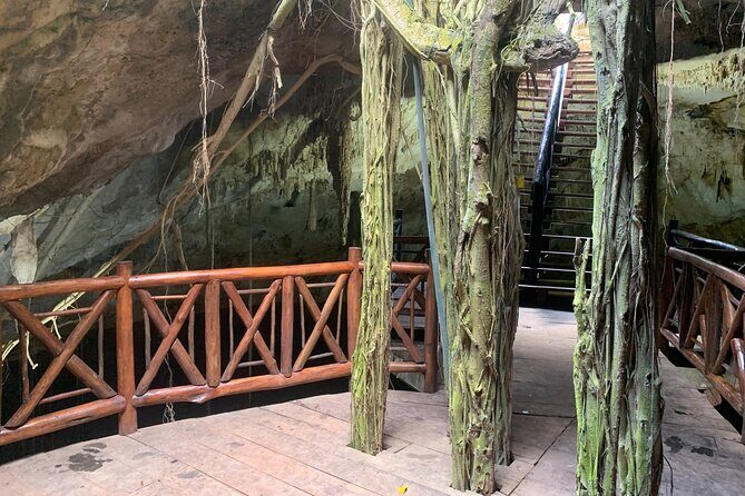 Cenote Adventure Tour - The Transportation and Group Dynamics