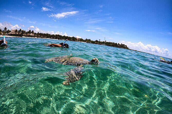 Cenote and Swimming with Turtles Private Tour in Akumal - Practical Tips for Making the Most of This Tour
