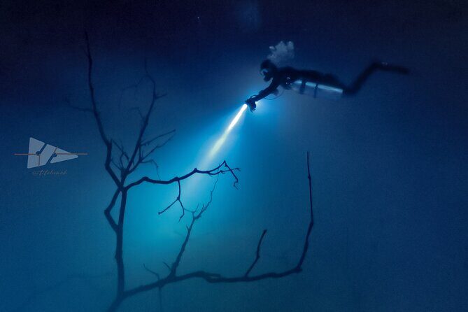 Cenote El Pit and Dos Ojos Dive Trip - Final Thoughts