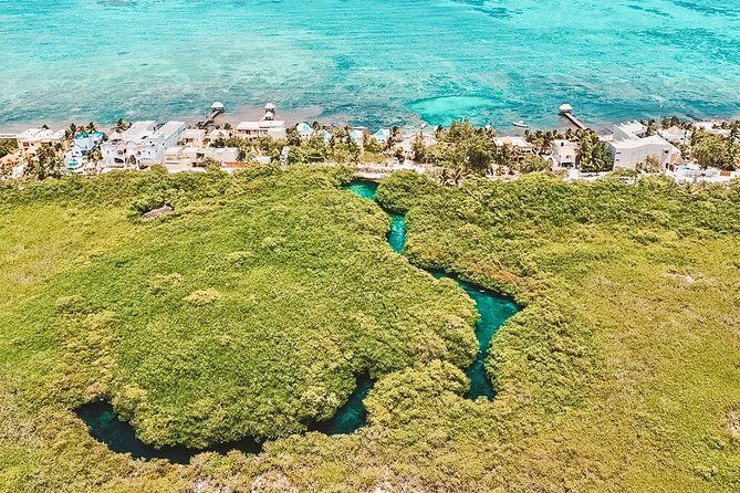 Cenote Paddleboarding and Snorkeling in Tulum - Authentic Tacos and Local Flavors