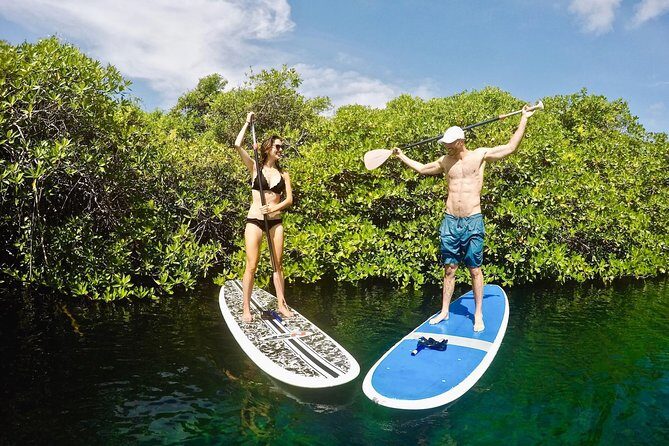 Cenote Paddleboarding and Snorkeling in Tulum - Practical Details: What to Know Before You Go