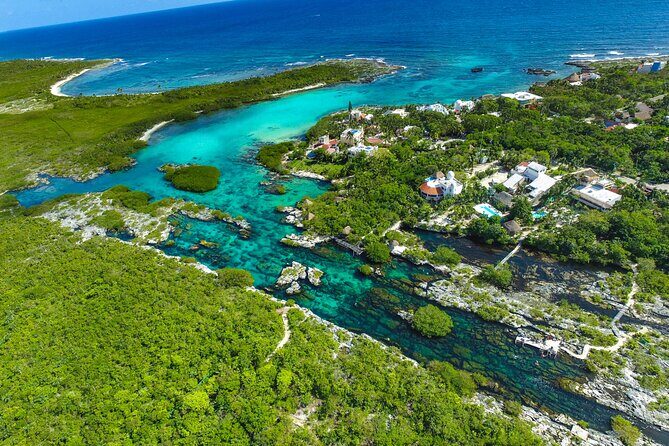 Cenote; Snorkeling and Photos with Colorful Fish - What to Expect During the Tour