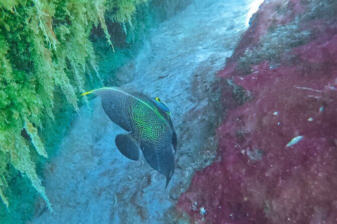 Cenote; Snorkeling and Photos with Colorful Fish - Final Thoughts