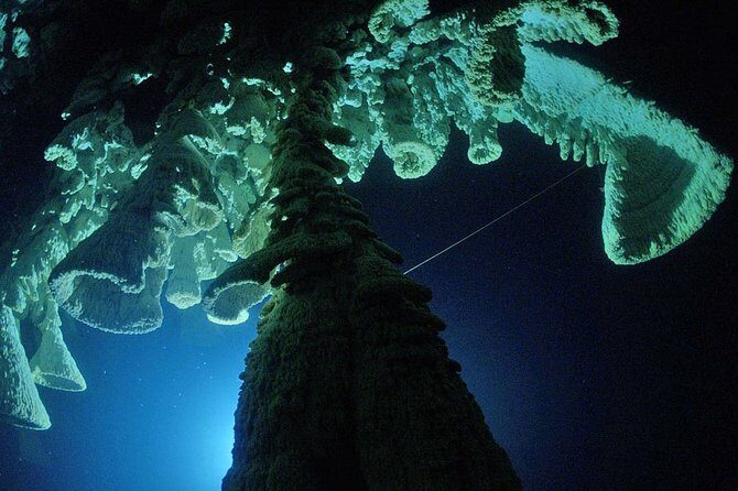 Cenotes 2-Tank Dive in Playa del Carmen/for certified divers only - Practical Tips for a Great Experience