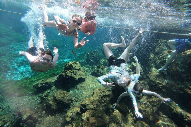 Cenotes by Bike and Mayan Cooking Class Half-Day Guided Tour - The Price and Value
