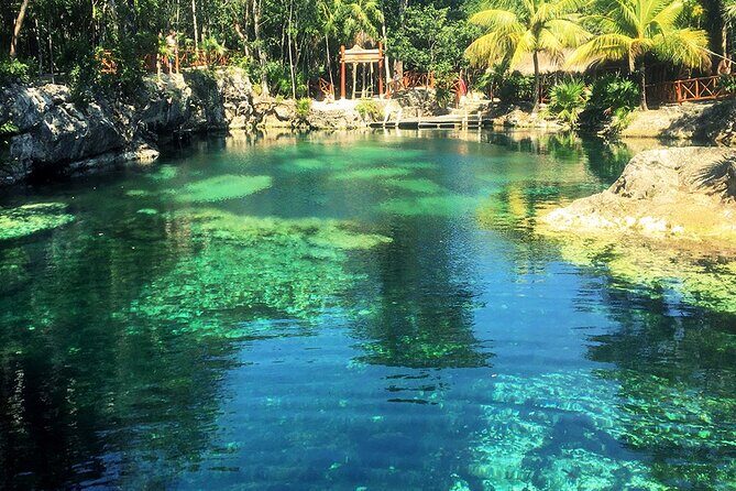 Cenotes Casa Tortuga 4 Cenotes Day Pass - The Experience of Visiting