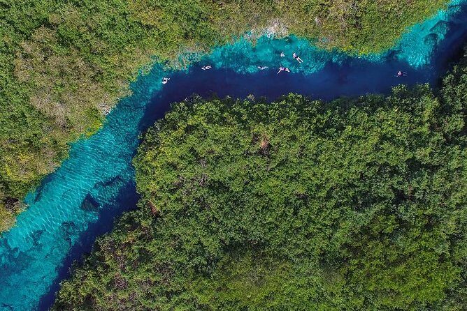 Cenotes diving - Final Thoughts: Why Choose This Cenote Tour?