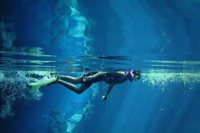 Cenotes snorkeling excursion - A Dive into the Experience: What to Expect