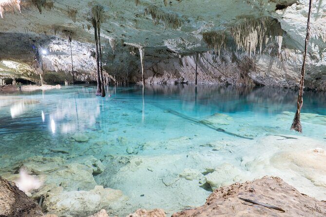 Cenotes Taak Bi Ha & Nicte Ha  VIP Snorkeling Private Tour - The Experience in Detail