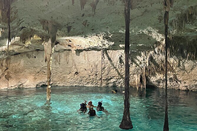 Cenotes Taak Bi Ha & Nicte Ha  VIP Snorkeling Private Tour - Final Thoughts