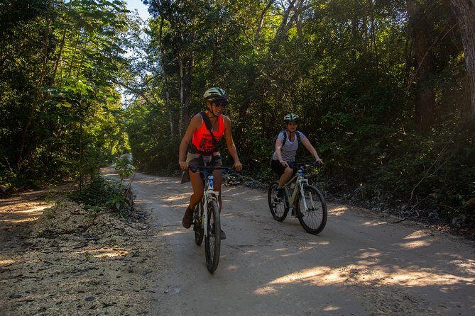 Cenotes trail jungle bike tour in Tulum with lunch - The Itinerary: A Detailed Breakdown