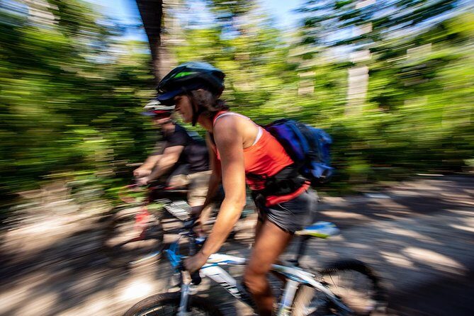 Cenotes trail jungle bike tour in Tulum with lunch - Who Will Love This Tour?