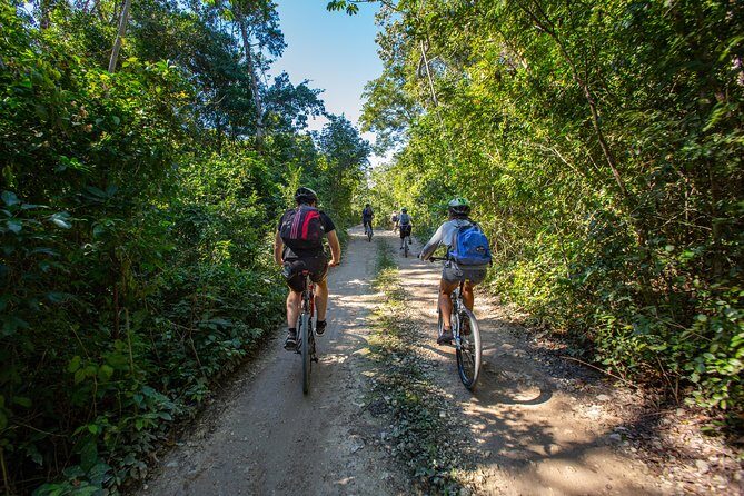 Cenotes trail jungle bike tour in Tulum with lunch - Final Thoughts: Is It Worth It?