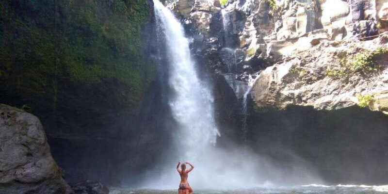 Central Bali: Ubud Village, Rice Terrace, and Kintamani Tour - Who Will Love This Tour?