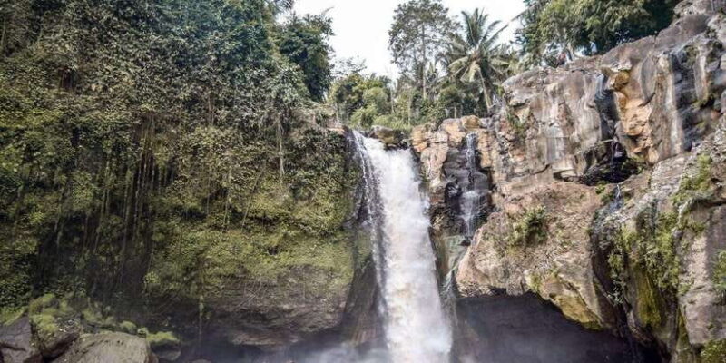 Central Bali: Ubud Village, Rice Terrace, and Kintamani Tour - The Sum Up