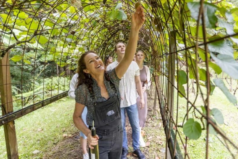 Central Coast NSW: The Winemakers Secret Garden Tour - Central Coast NSW: The Winemakers Secret Garden Tour — An Authentic Taste of Organic Wine and Garden Magic