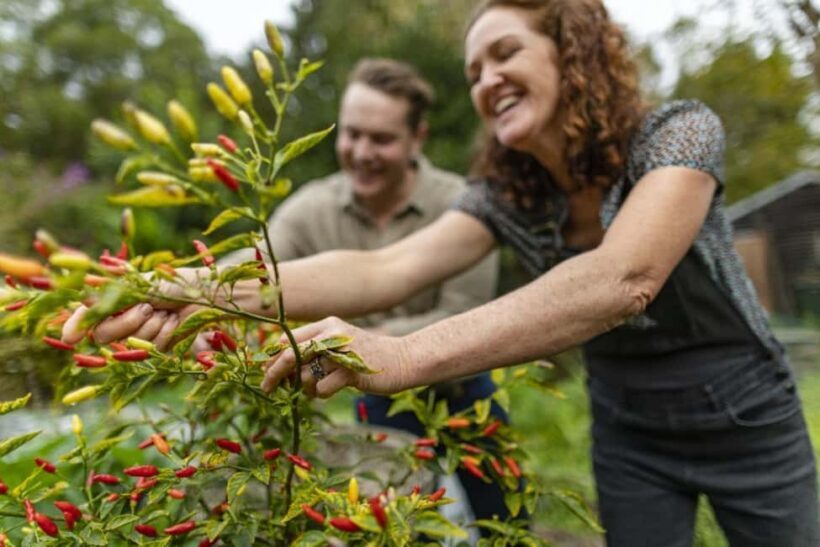 Central Coast NSW: The Winemakers Secret Garden Tour - The Sum Up: Who Will Love This Tour?