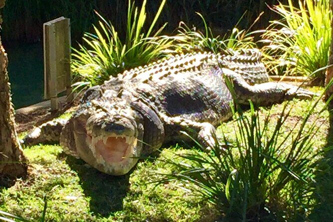 Central Coast Private Tour From Sydney, with Australian Reptile Park Option - Final Thoughts
