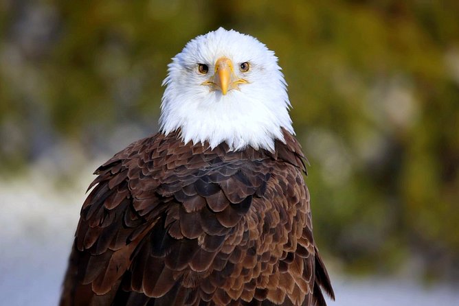 Central Florida Everglades Airboat Tour From Orlando - Customer Feedback and Reviews