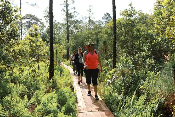 Central Florida Guided Nature Walk and Private Yoga Class - An In-Depth Look at the Tour Itinerary