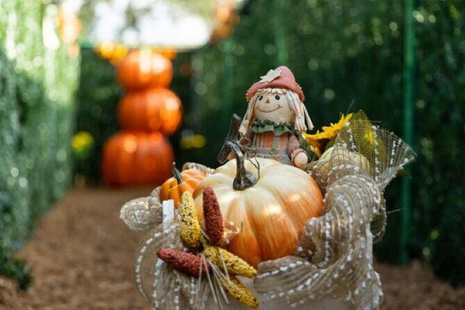 Central Florida Haunted Hayride - What to Expect from the Haunted Hayride Experience