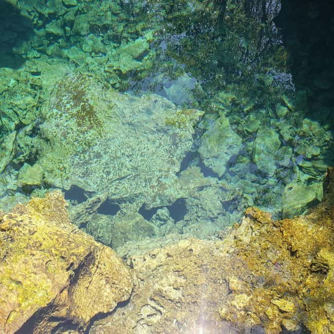 Central Long Island 3 Hour Guided Land Tour - Key Points