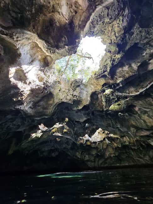 Central Long Island 3 Hour Guided Land Tour - What to Expect from This Guided Land Tour