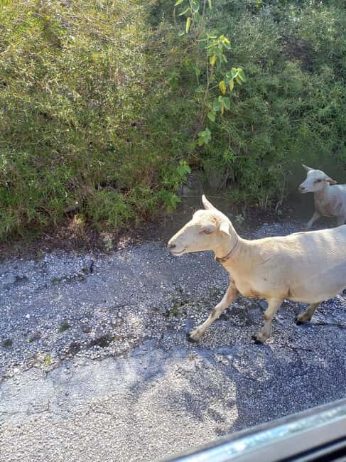 Central Long Island 3 Hour Guided Land Tour - The Value of the Experience