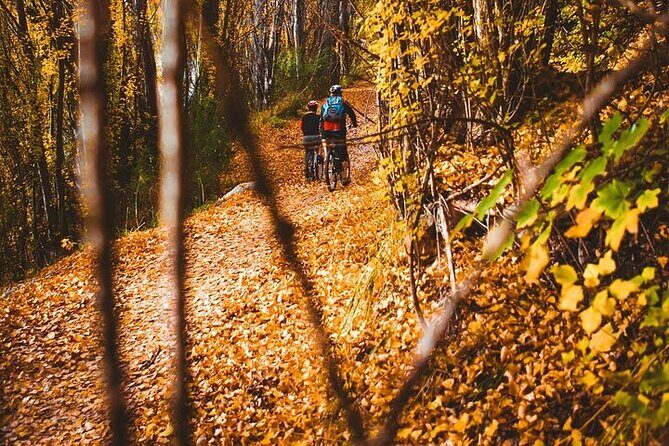 Central Otago River Loop Trail on E Bike - Final Thoughts: Who Will Love This Tour?