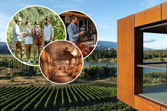 Central Otago Wine Tour with Wine Dog | Adults Only - Key Points