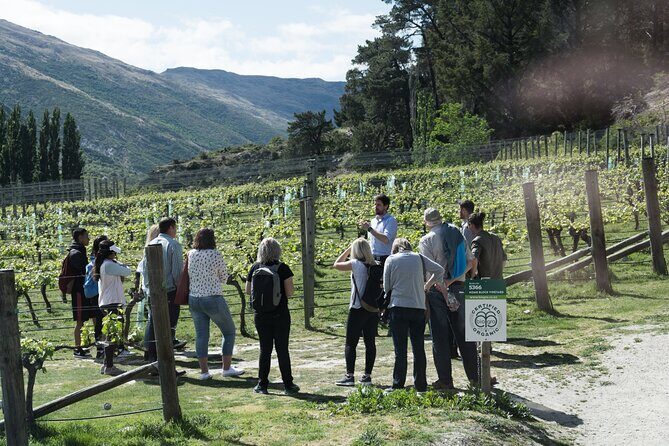 Central Otago Wine Tour with Wine Dog | Adults Only - Who Should Consider This Tour?