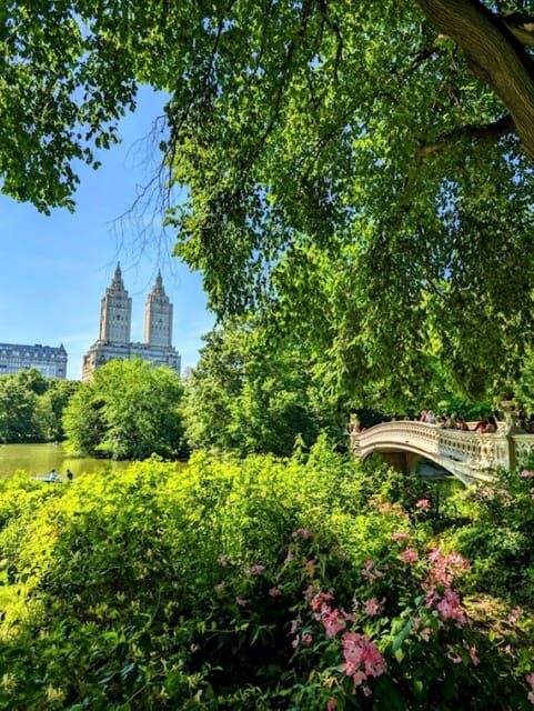 Central Park 5 Star Walking Tour led by Manhattan residents! - Final Thoughts