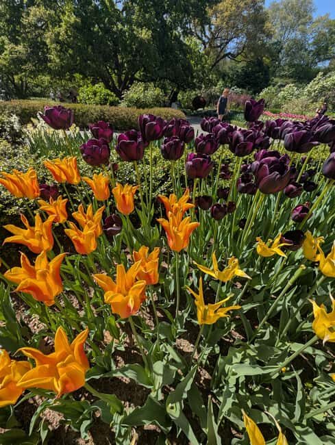 Central Park 5 Star Walking Tour led by Manhattan residents! - FAQ