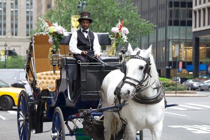 Central Park and NYC Horse Carriage Ride - A Detailed Look at the Experience