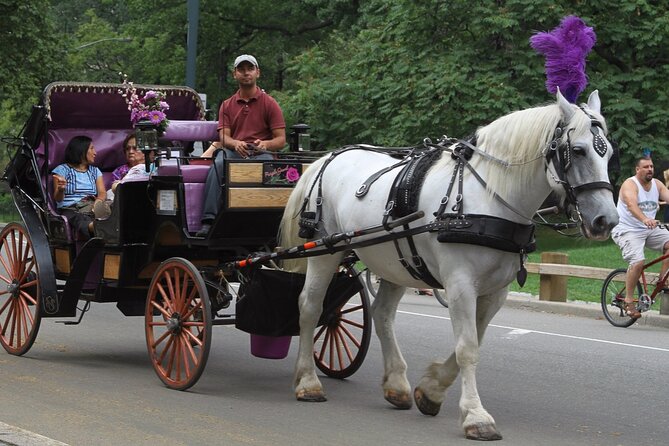 Central Park and NYC Private Horse Carriage Ride - The Value: Is It Worth the Price?