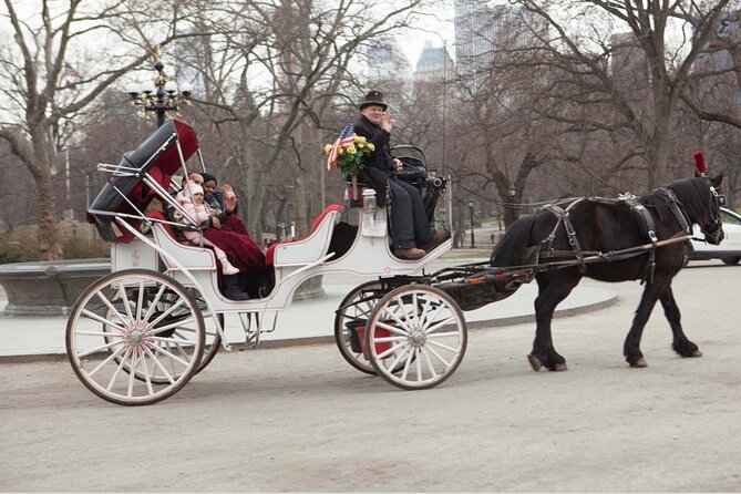 Central Park and NYC Private Horse Carriage Ride - Who Will Enjoy This Tour?